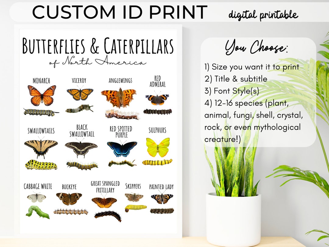 Custom Species ID Poster Download-botanical Identification Art ...