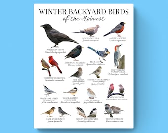 Birds Birding Chart - Etsy