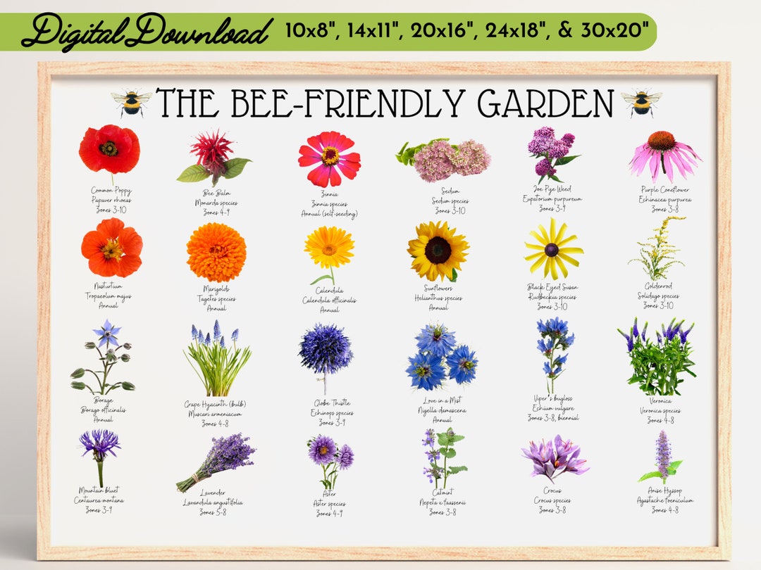 Flowers for bees store
