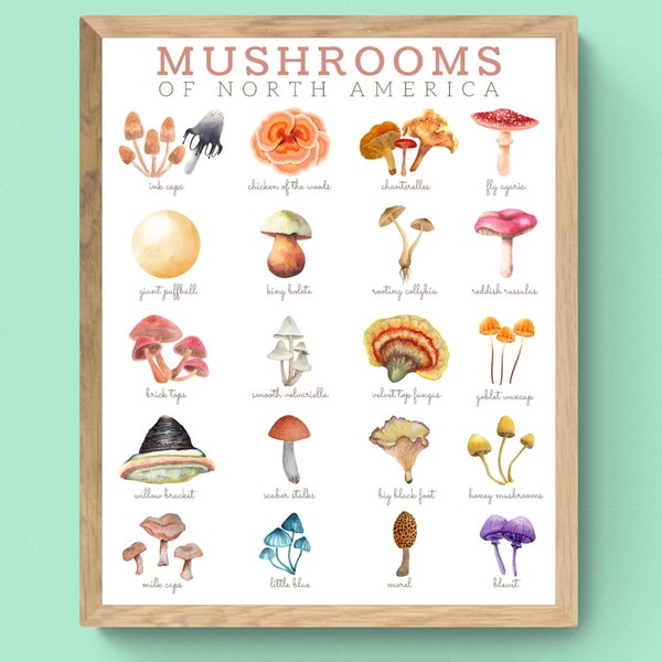 Mushroom Identification Print - Etsy