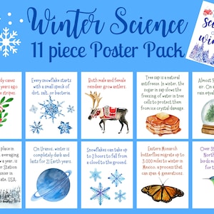 Winter Science Poster Pack-classroom Decor Set-print Bundle-stem ...