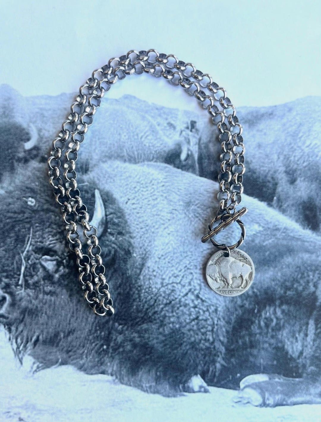 Buffalo Coin Curb Rolo Necklace With Textured Toggle Clasp - the Buff ...
