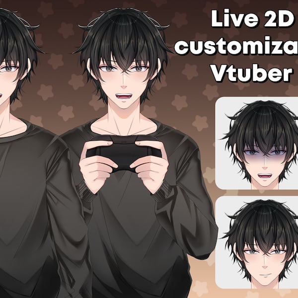 Male 2d Vtuber Model - Etsy Australia