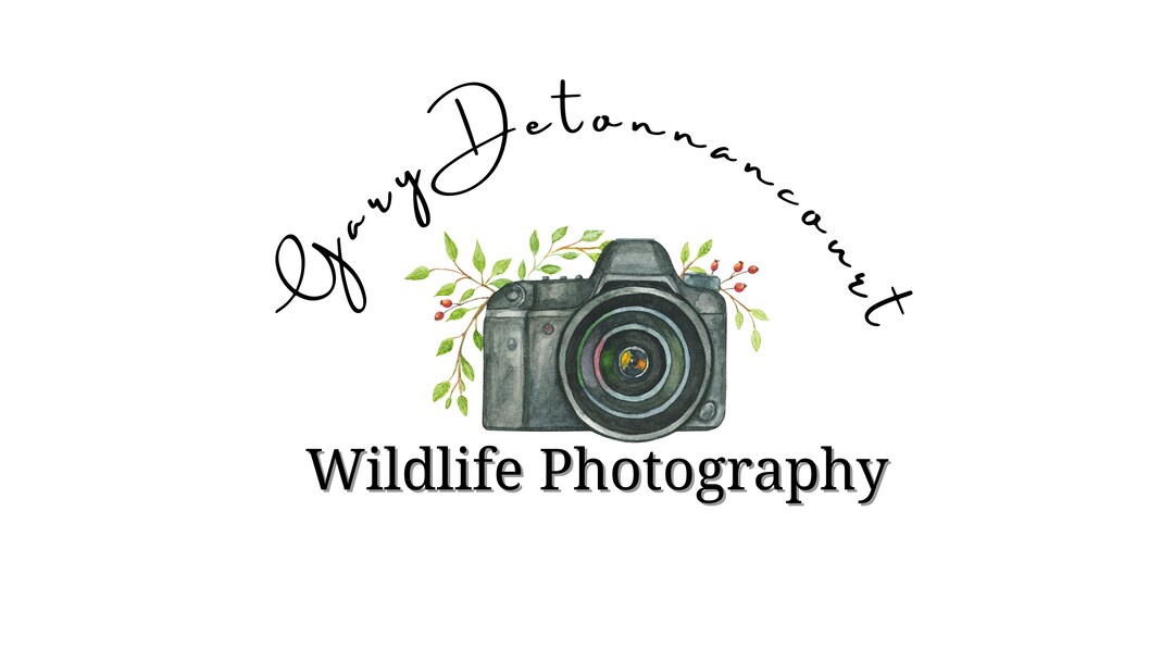 7 Premade Logo Designs, Black DSLR Camera Logo With Green Branches ...