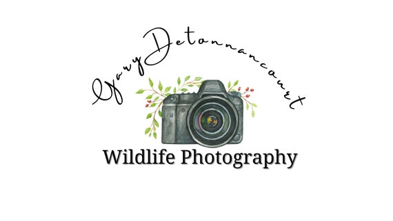 Dslr Camera Logos