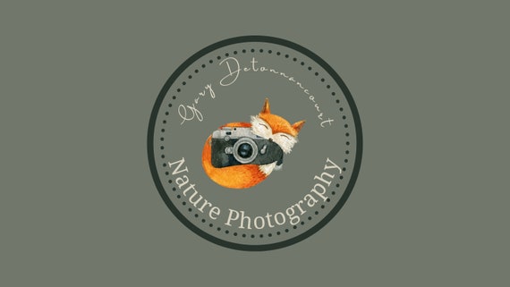 Premade Photography Logo Male or Female Fox Watermark Round | Etsy