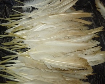 Goose Pointer Feathers for Quill Pens, Calligraphy Quality With Thick ...