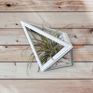 Adorable 3D Printed Air Plant Holders | Complete With Easy, Small Air ...