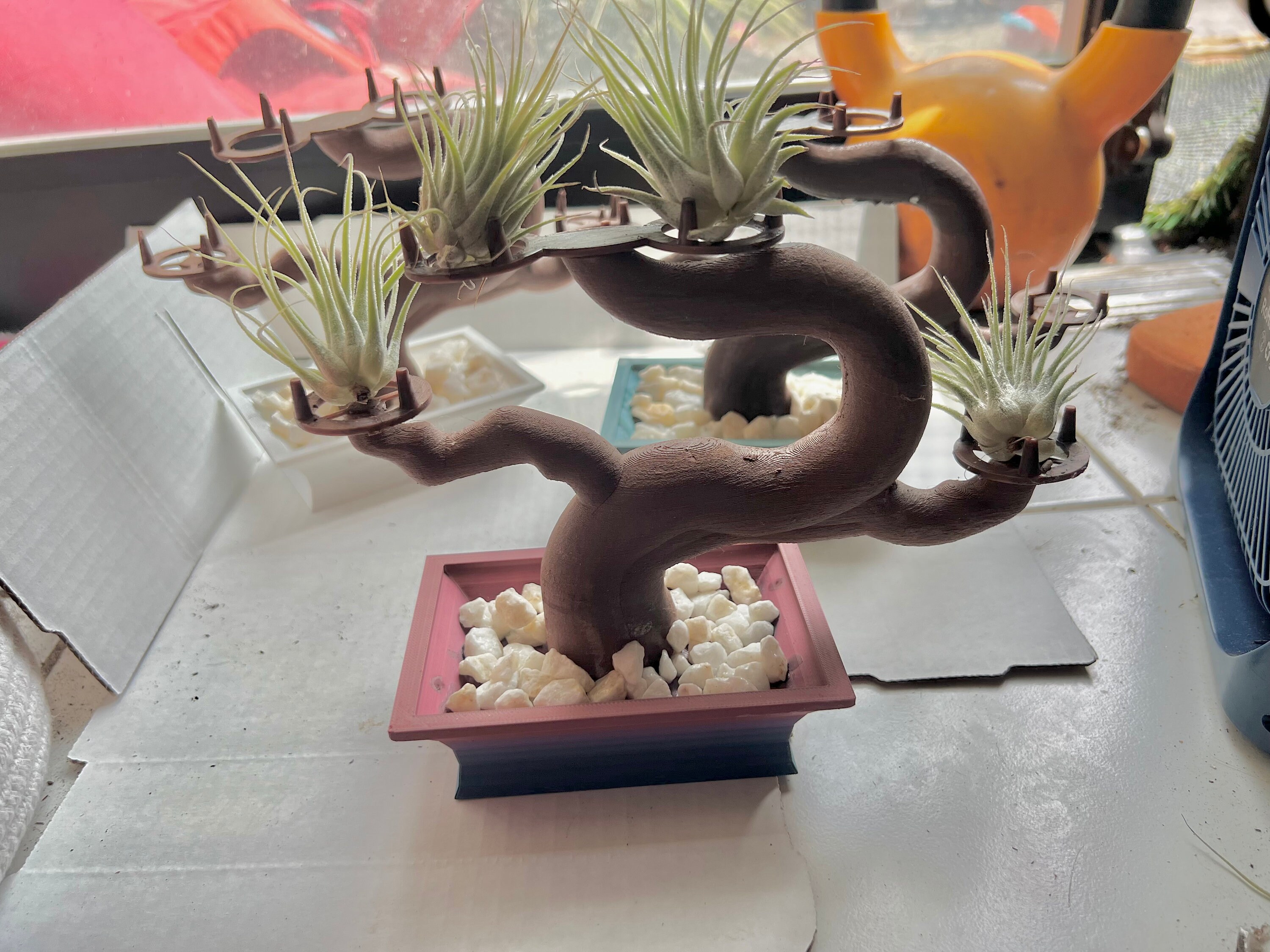 Enchanting 3D Printed Bonsai Tree Air Plant Holder for Air Plants - Etsy
