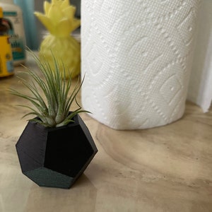 Adorable 3D Printed Air Plant Holders | Complete With Easy, Small Air ...