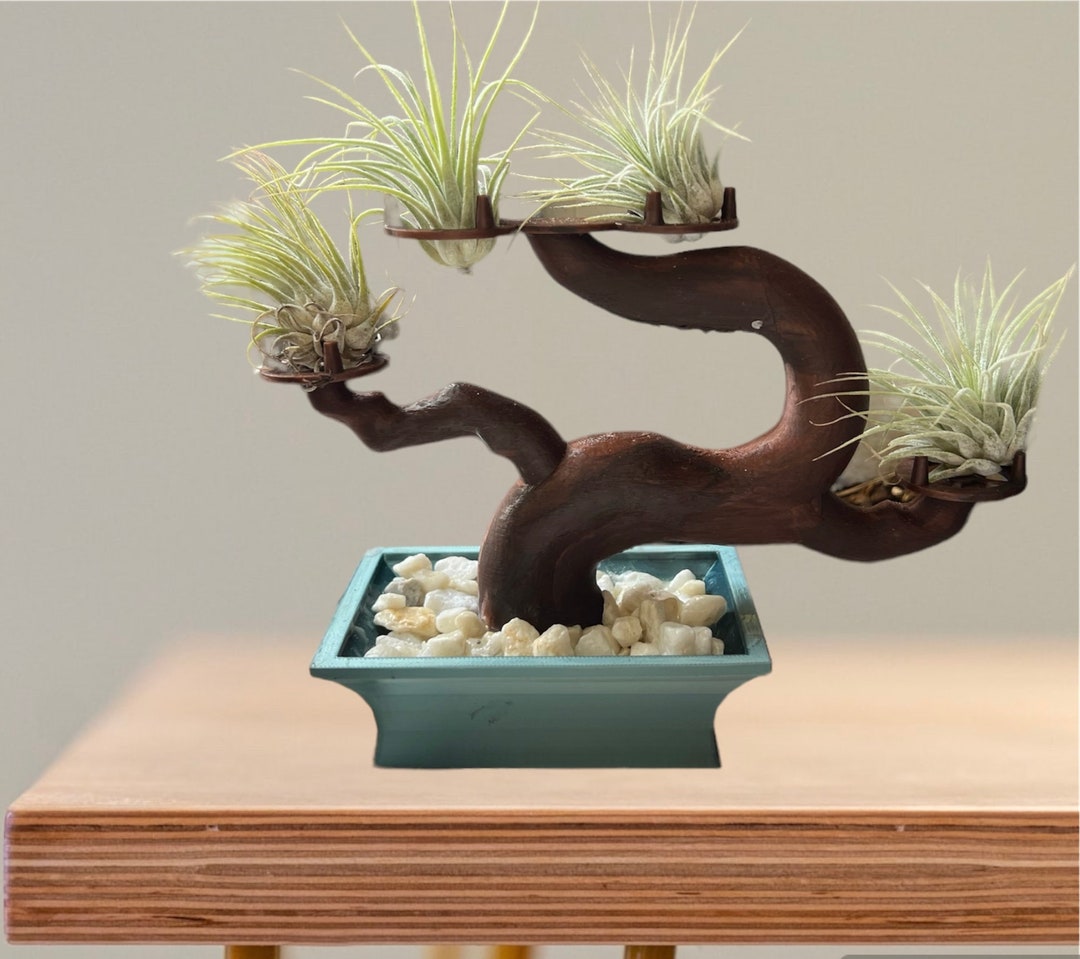 Enchanting 3D Printed Bonsai Tree Air Plant Holder for Air Plants - Etsy