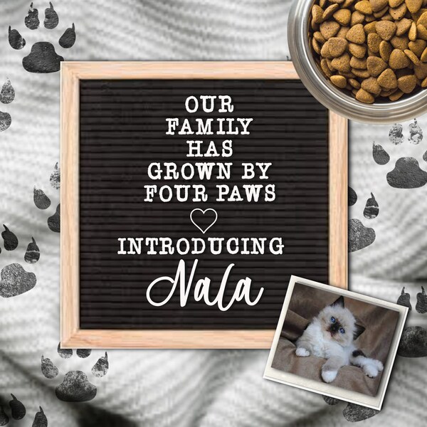 Family Announcement - Etsy