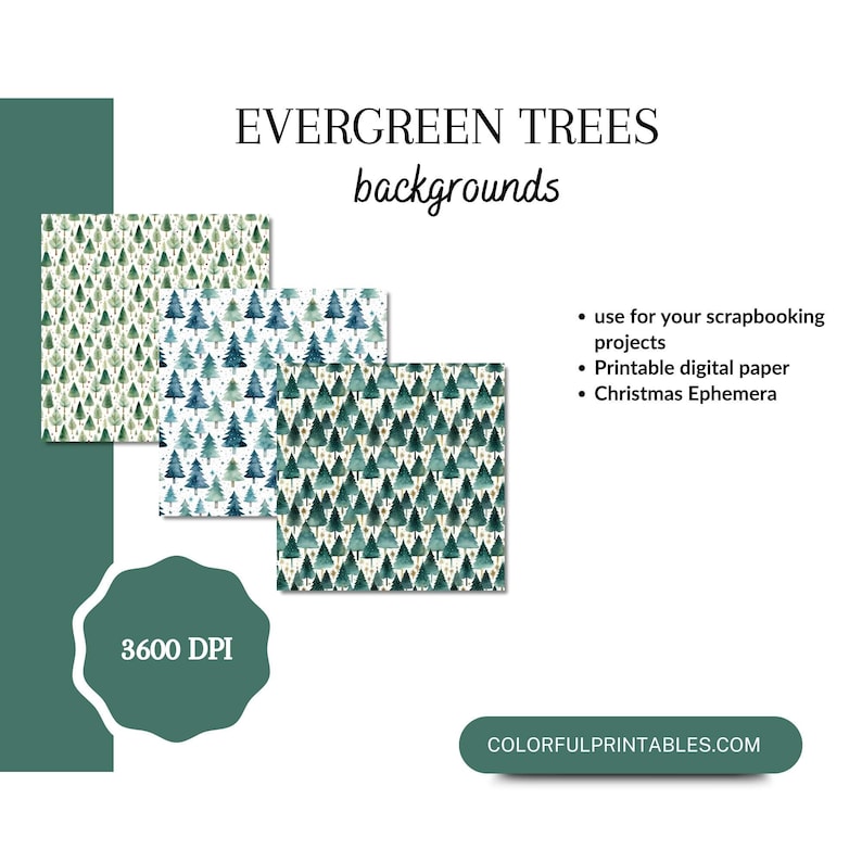 Evergreen Trees Digital Background Papers 12-inch 300 Dpi, Great for ...