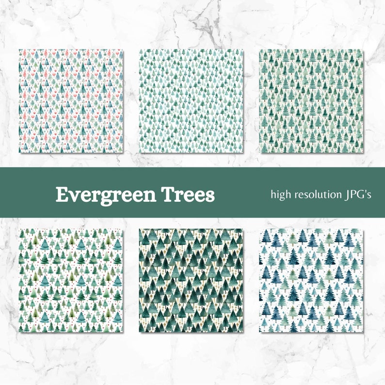 Evergreen Trees Digital Background Papers 12-inch 300 Dpi, Great for ...