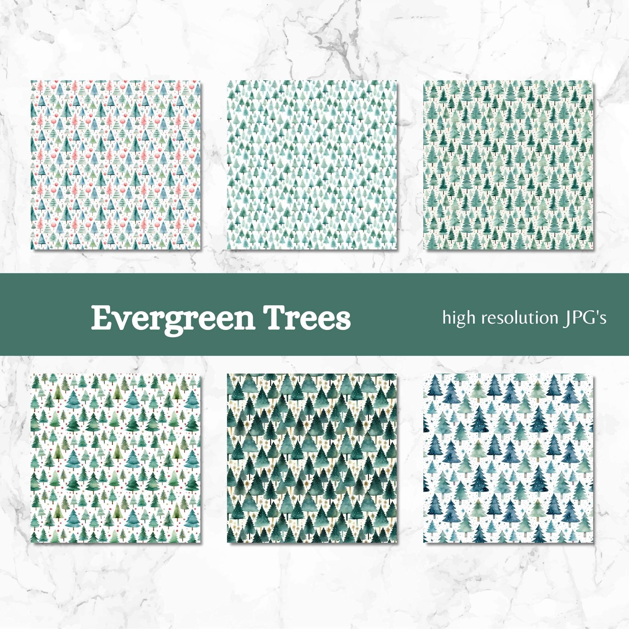 Evergreen Trees Digital Background Papers 12-inch 300 Dpi, Great for ...