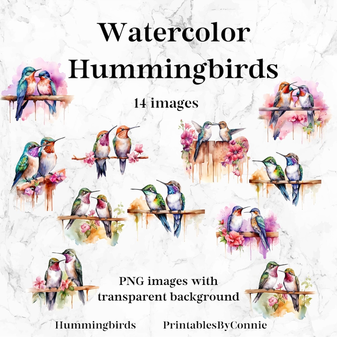14 Watercolor Hummingbird Pngs Graphics for Printing and Sublimation ...