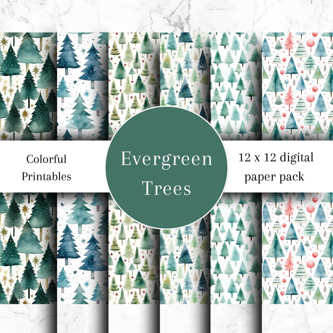 Evergreen Trees Digital Background Papers 12-inch 300 Dpi, Great for ...