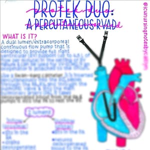 Protek-duo RVAD Nursing Cheat Sheet - Etsy