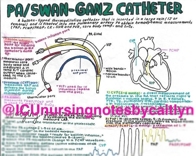 Anatomy of a Swan-ganz/pulmonary Artery Catheter (PAC) & Thermodilution ...