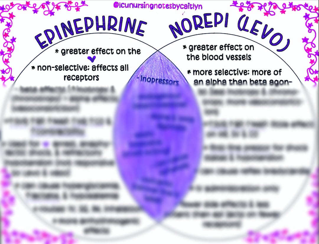 Epinephrine Vs. Norepi (levophed) - Etsy
