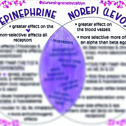 Epinephrine Vs. Norepi levophed - Etsy