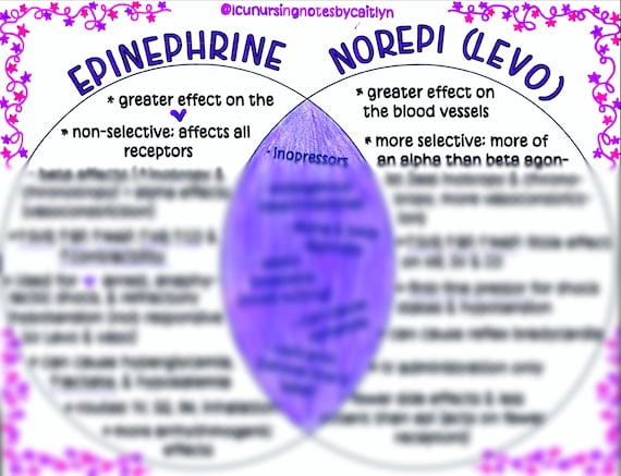 Epinephrine Vs. Norepi levophed - Etsy
