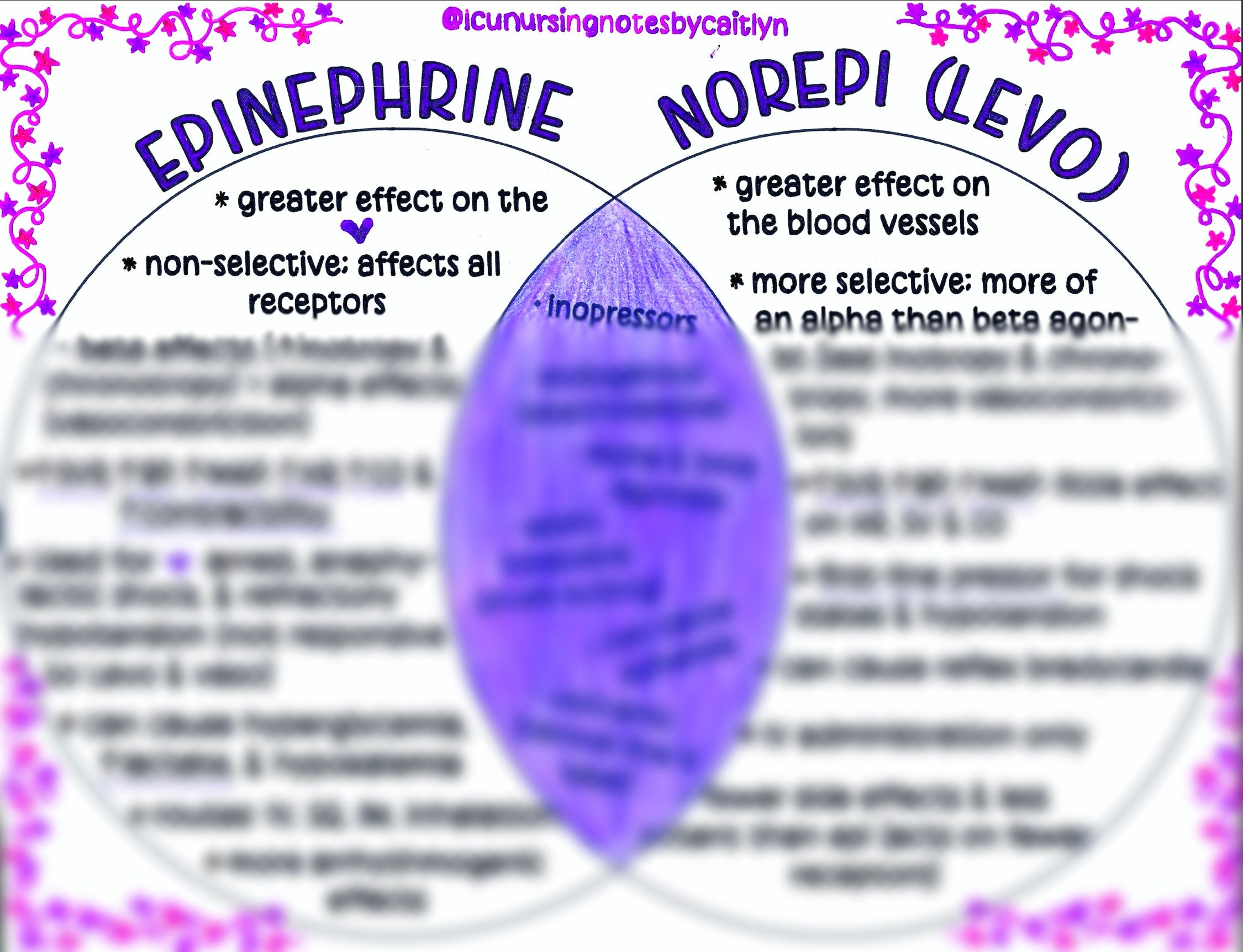 Epinephrine Vs. Norepi levophed - Etsy