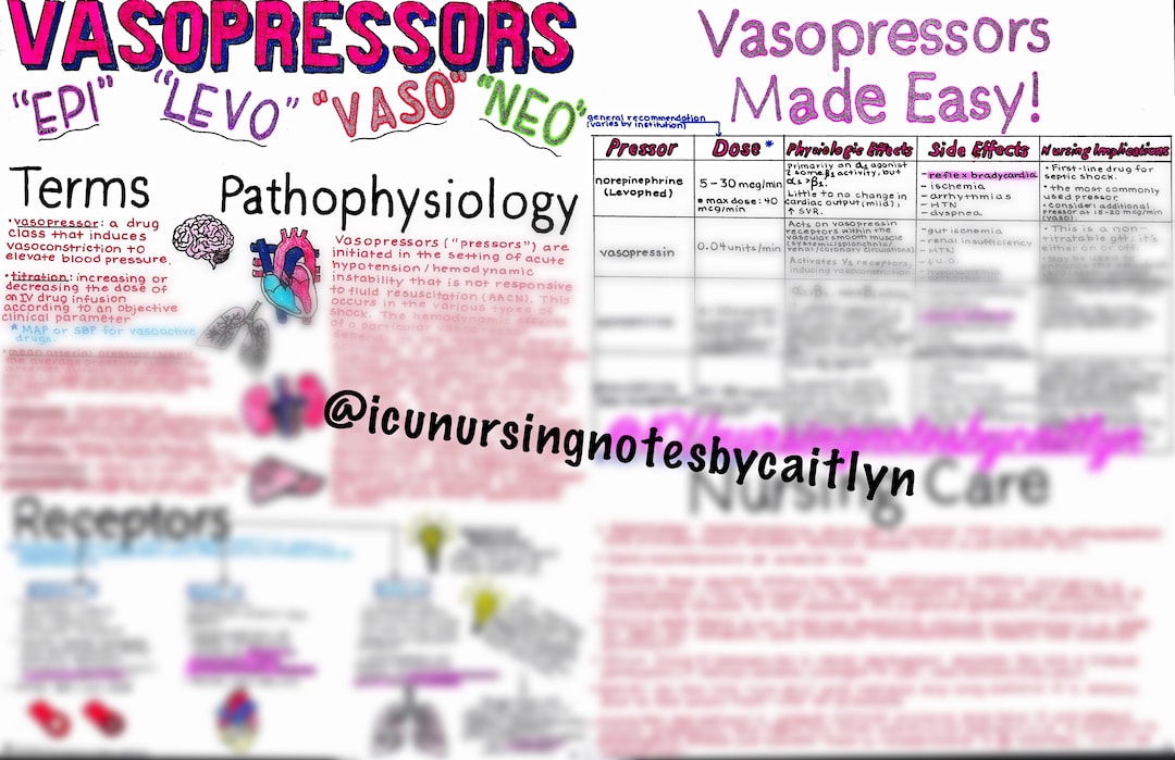 Vasopressors Nursing Cheat Sheet (PDF) - Etsy Canada