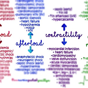 Cardiac Output Physiology - Etsy