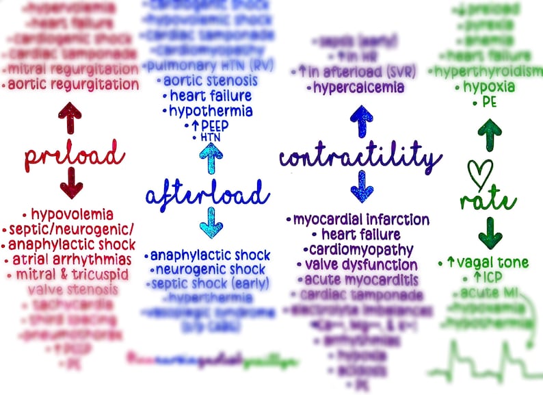 Cardiac Output Physiology - Etsy