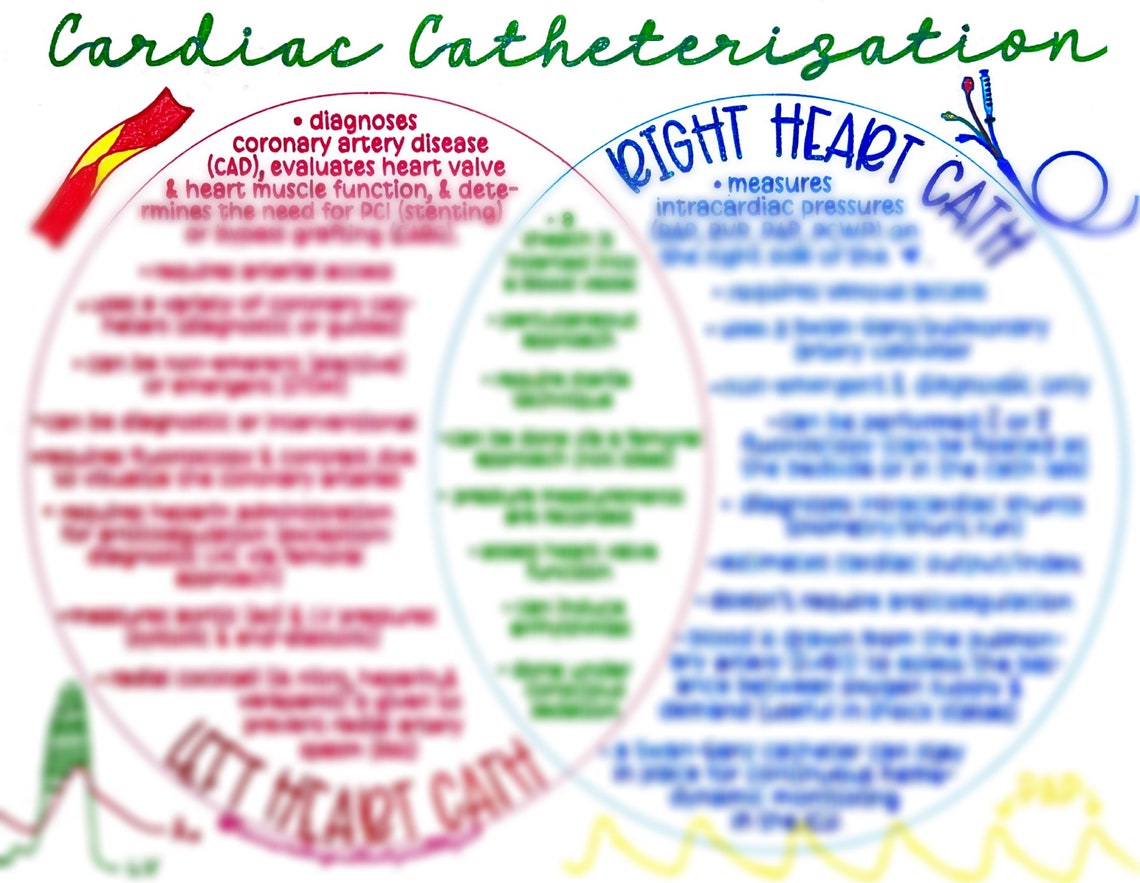 Right Vs. Left Heart Catheterization - Etsy