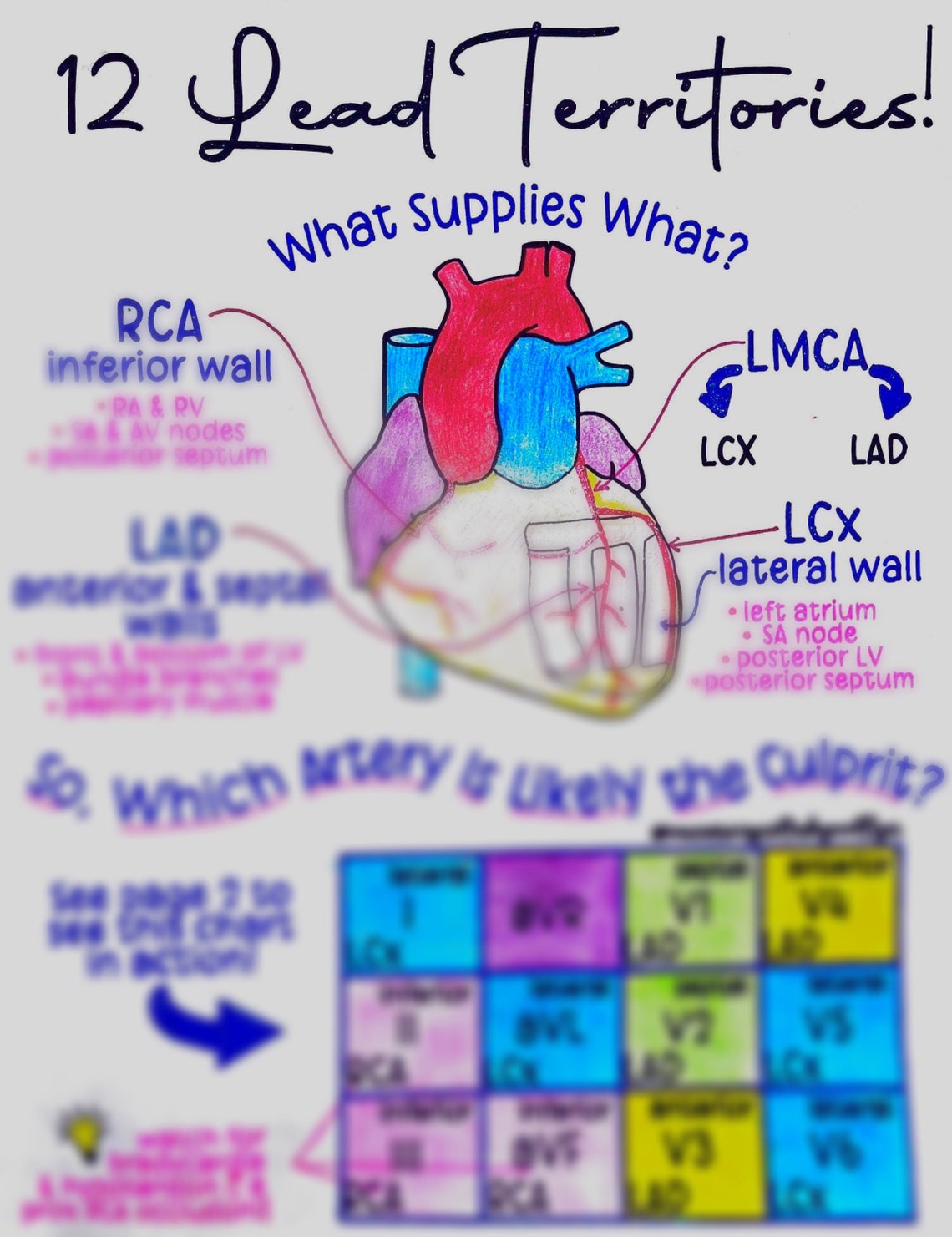 12 Lead ECG Territories - Etsy