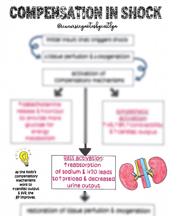 Phases Of Shock Compensatory: What Is It, Causes, And More, 58% OFF