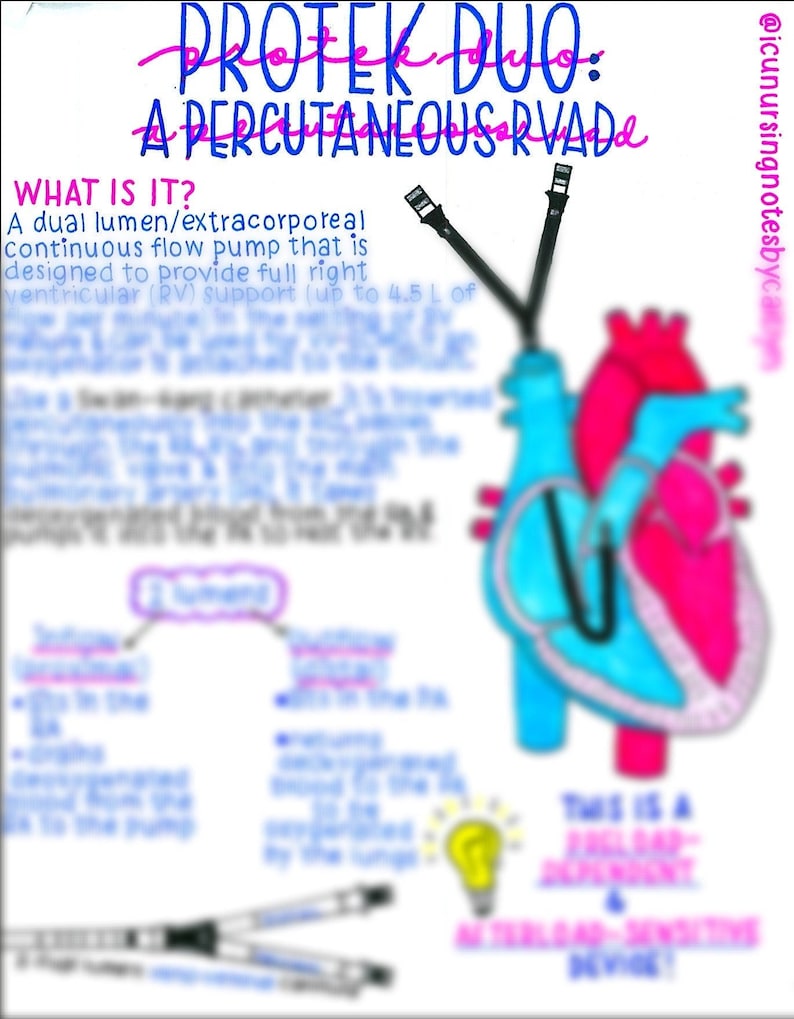 Protek-duo (RVAD) - Etsy