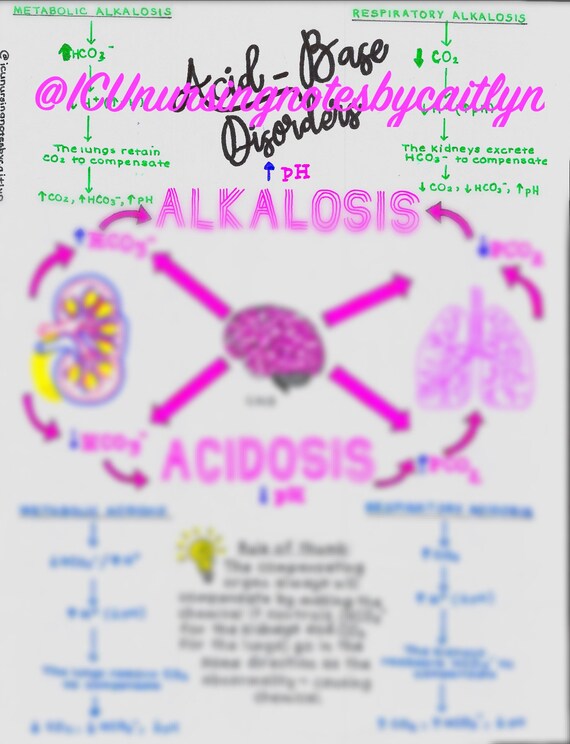 Acid-base Disorders | Etsy
