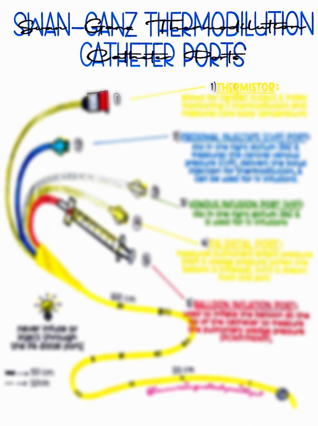 Thermodilution Swan-ganz/pa Catheter Ports - Etsy