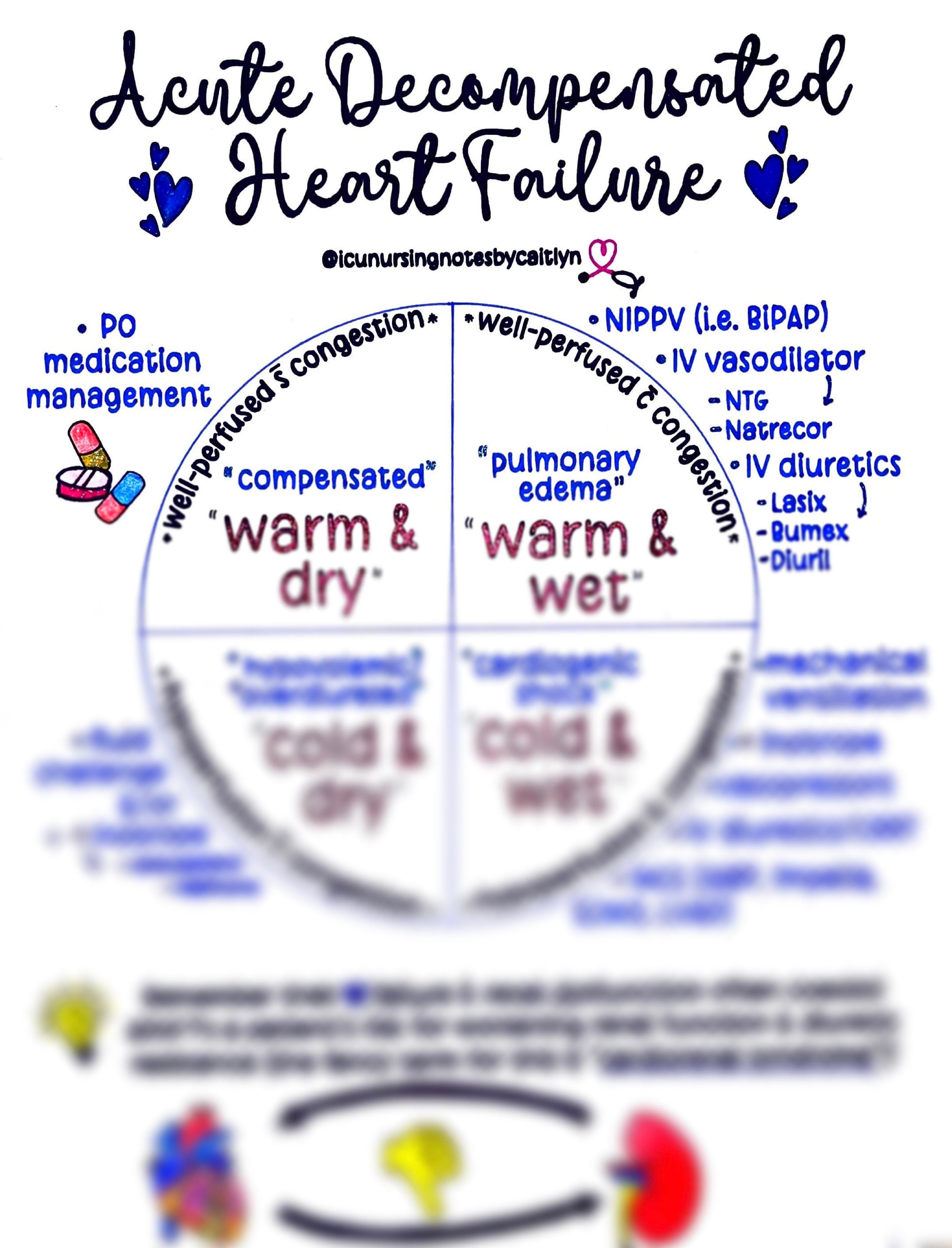 Types of Acute Decompensated Heart Failure - Etsy