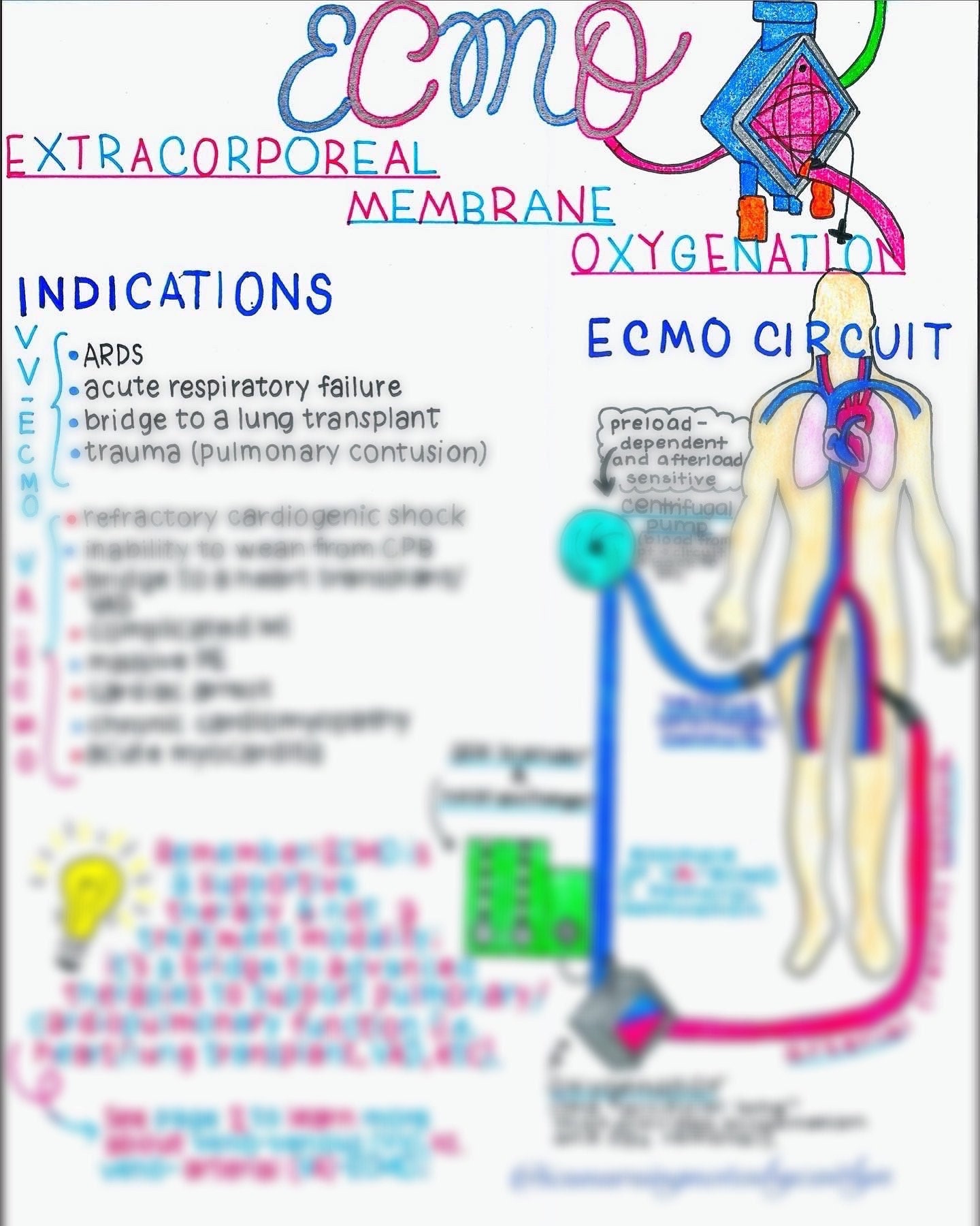 Extracorporeal Membrane Oxygenation ECMO - Etsy