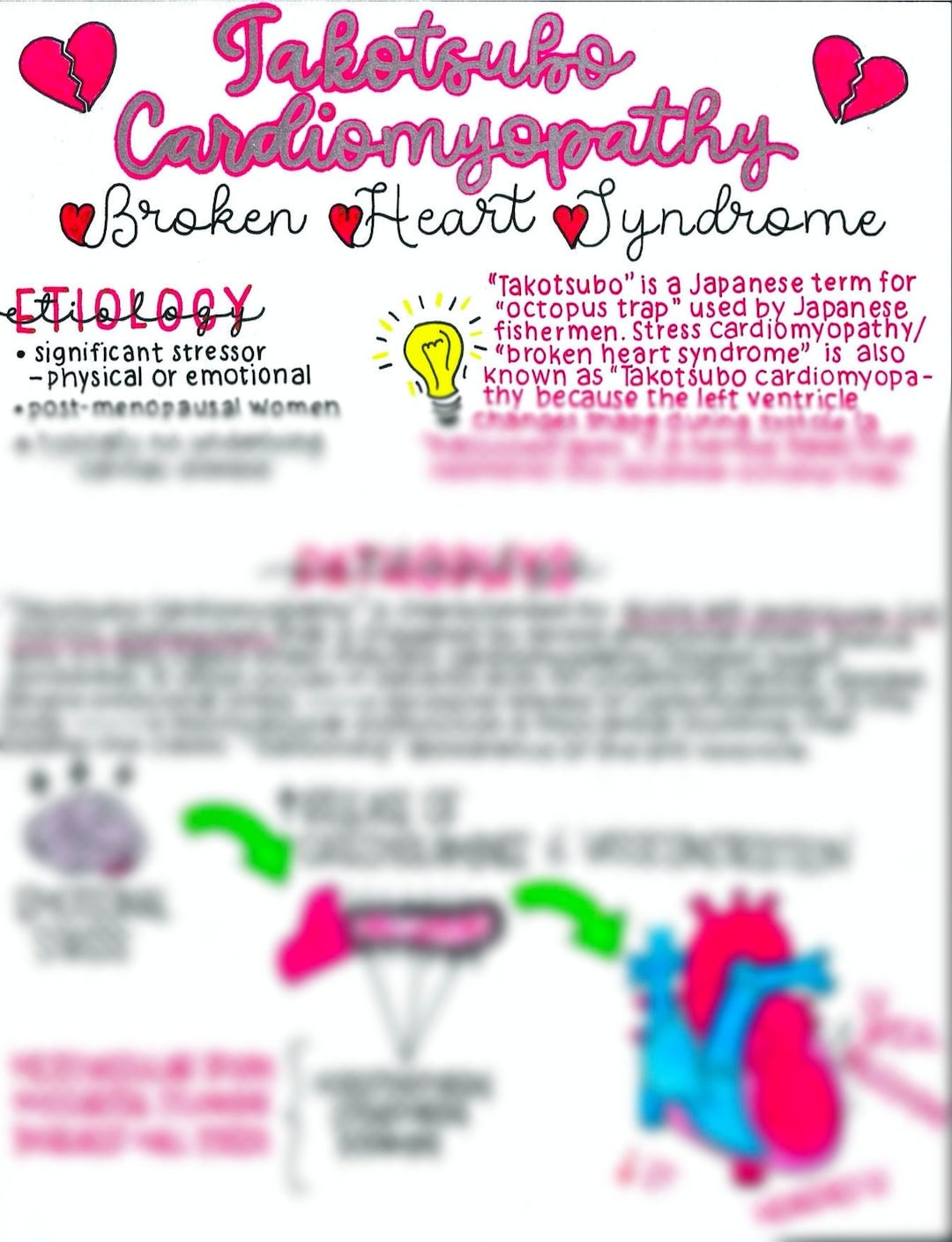 Takotsubo Cardiomyopathy - Etsy