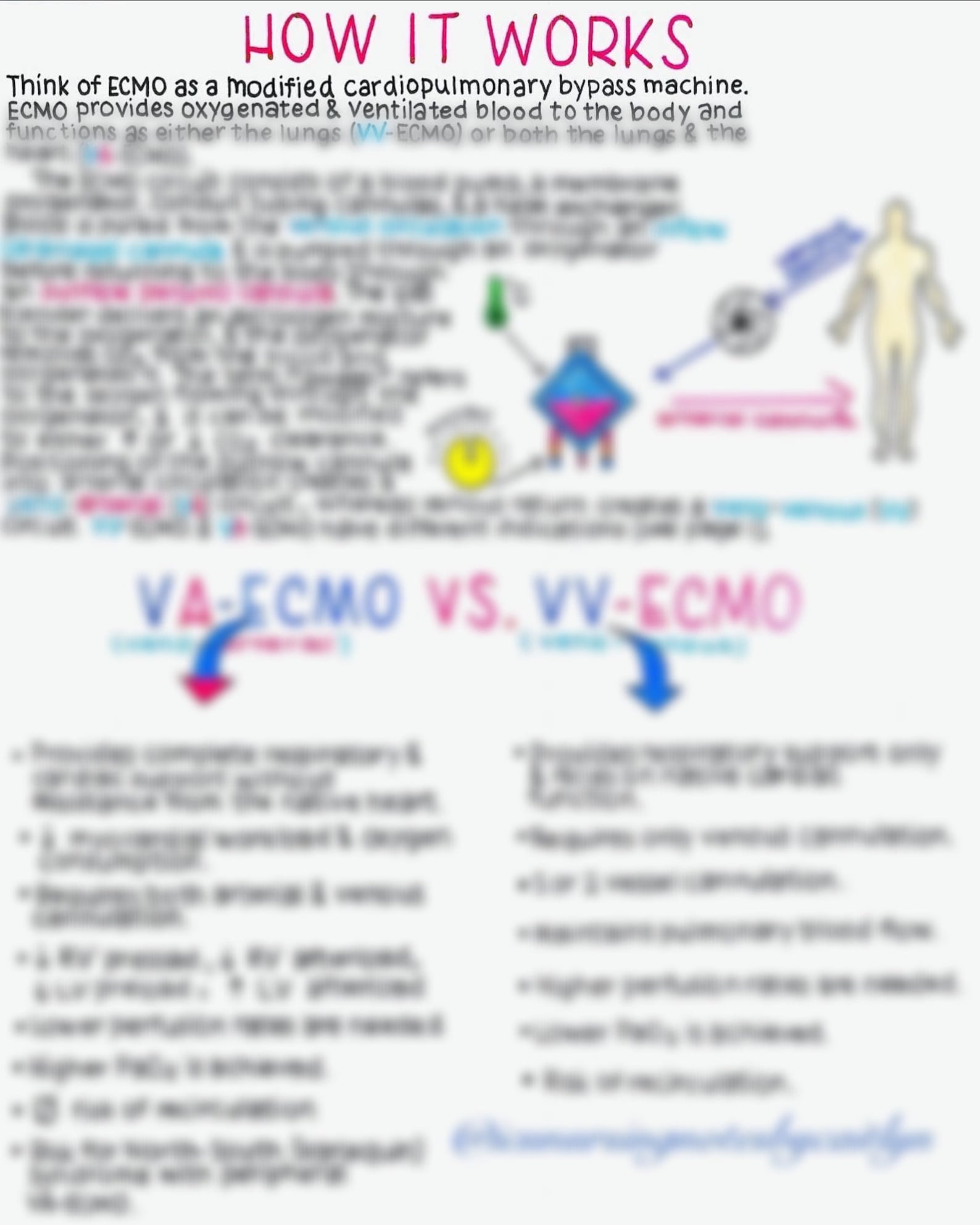 Extracorporeal Membrane Oxygenation (ECMO) - Etsy