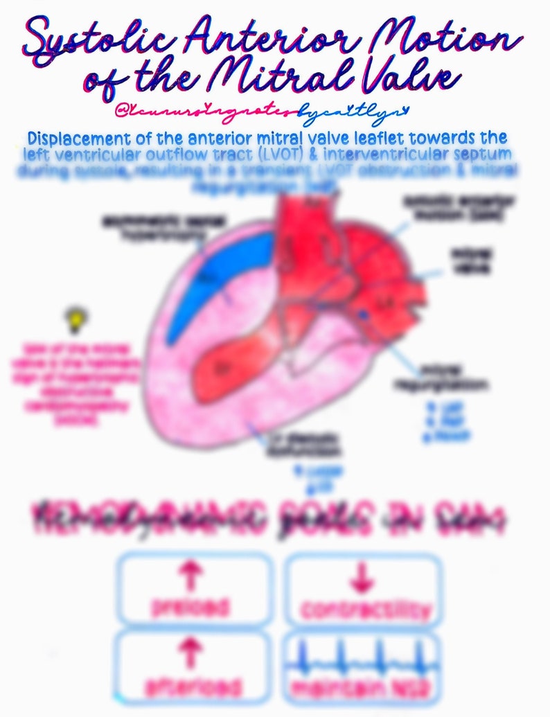 Systolic Anterior Motion (SAM) of the Mitral Valve - Etsy