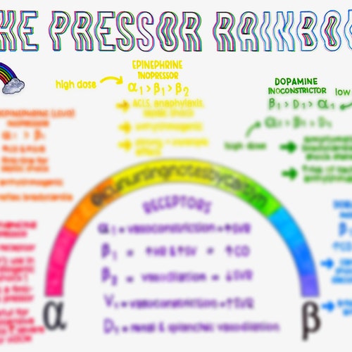 The Pressor Rainbow - Etsy