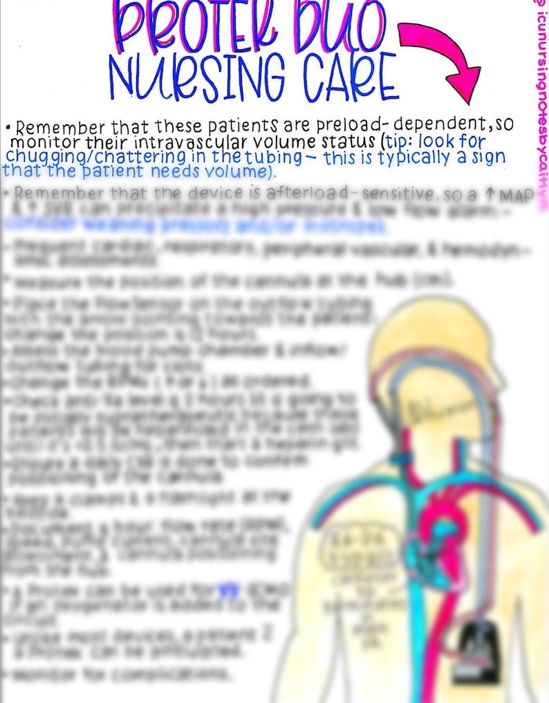 Protek-duo (RVAD) - Etsy