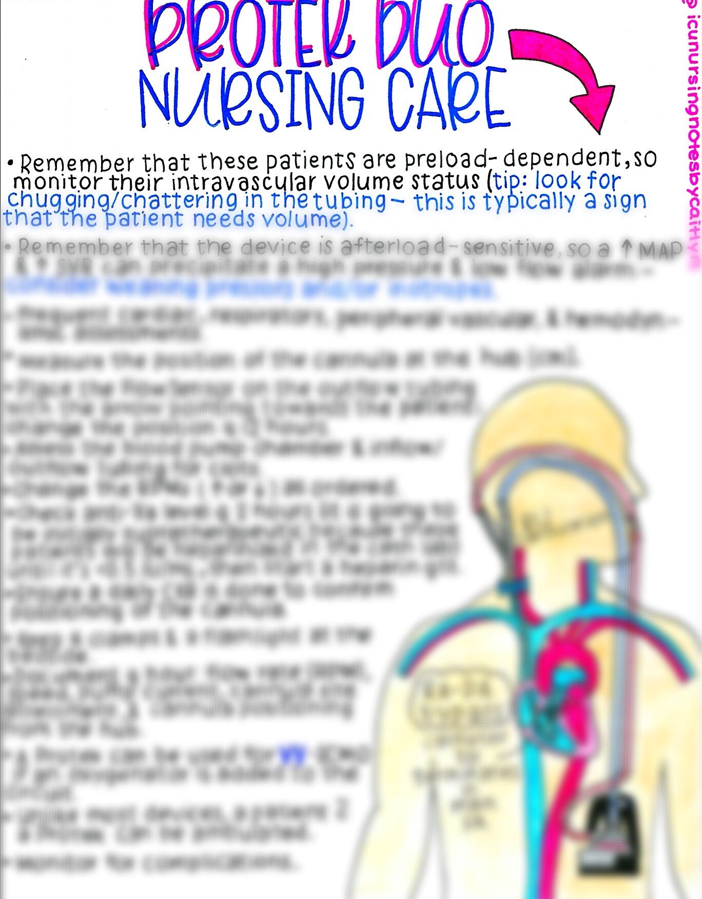 Protek-duo (RVAD) - Etsy