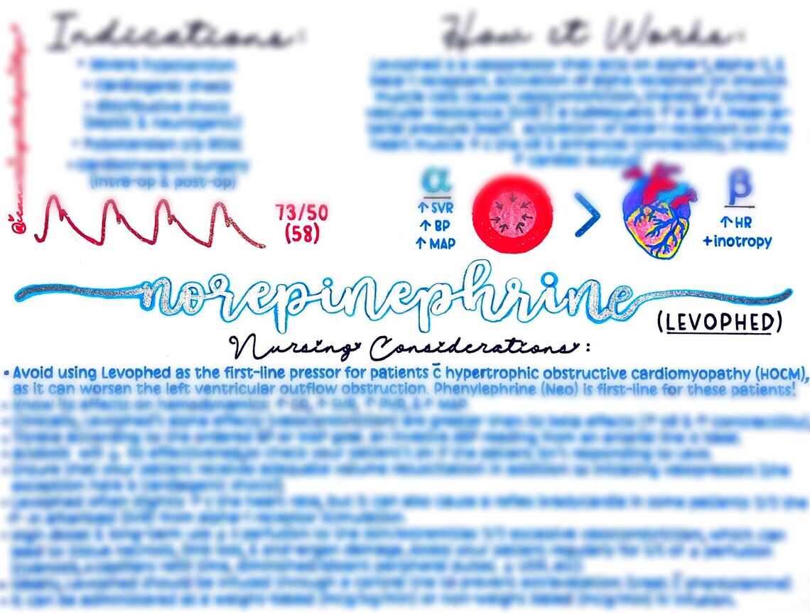 Norepinephrine (levophed) - Etsy