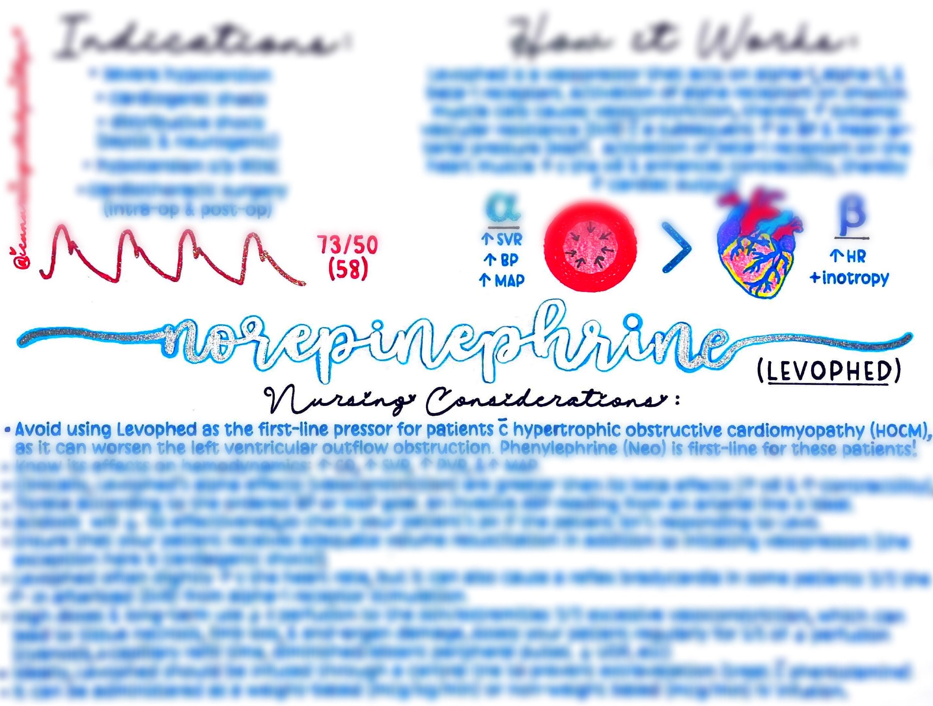 Norepinephrine (levophed) - Etsy