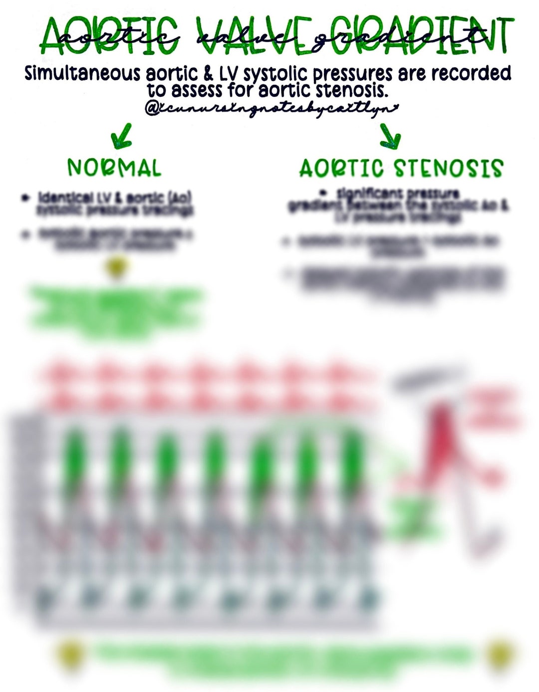 Aortic Valve Gradient - Etsy