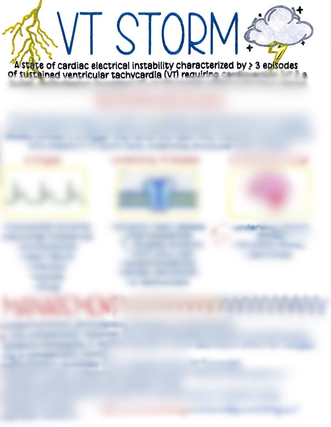 VT Storm - Etsy