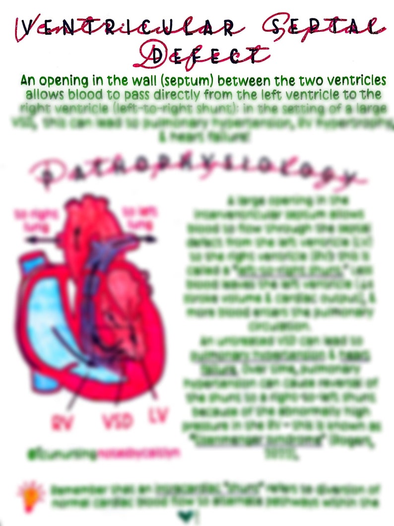 Ventricular Septal Defect (VSD) - Etsy