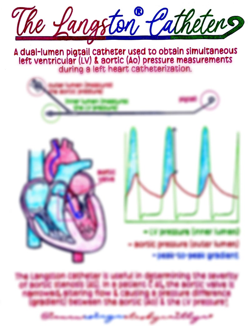 Langston Catheter Overview (dual-lumen Pigtail) - Etsy